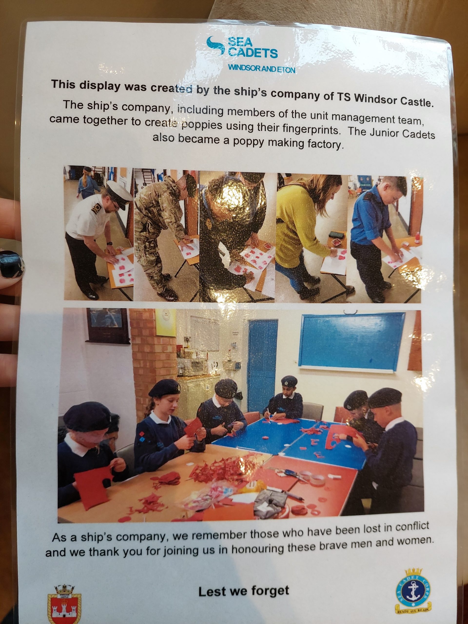 Remembrance Day window display - E Sargeant & Son Funeral Directors